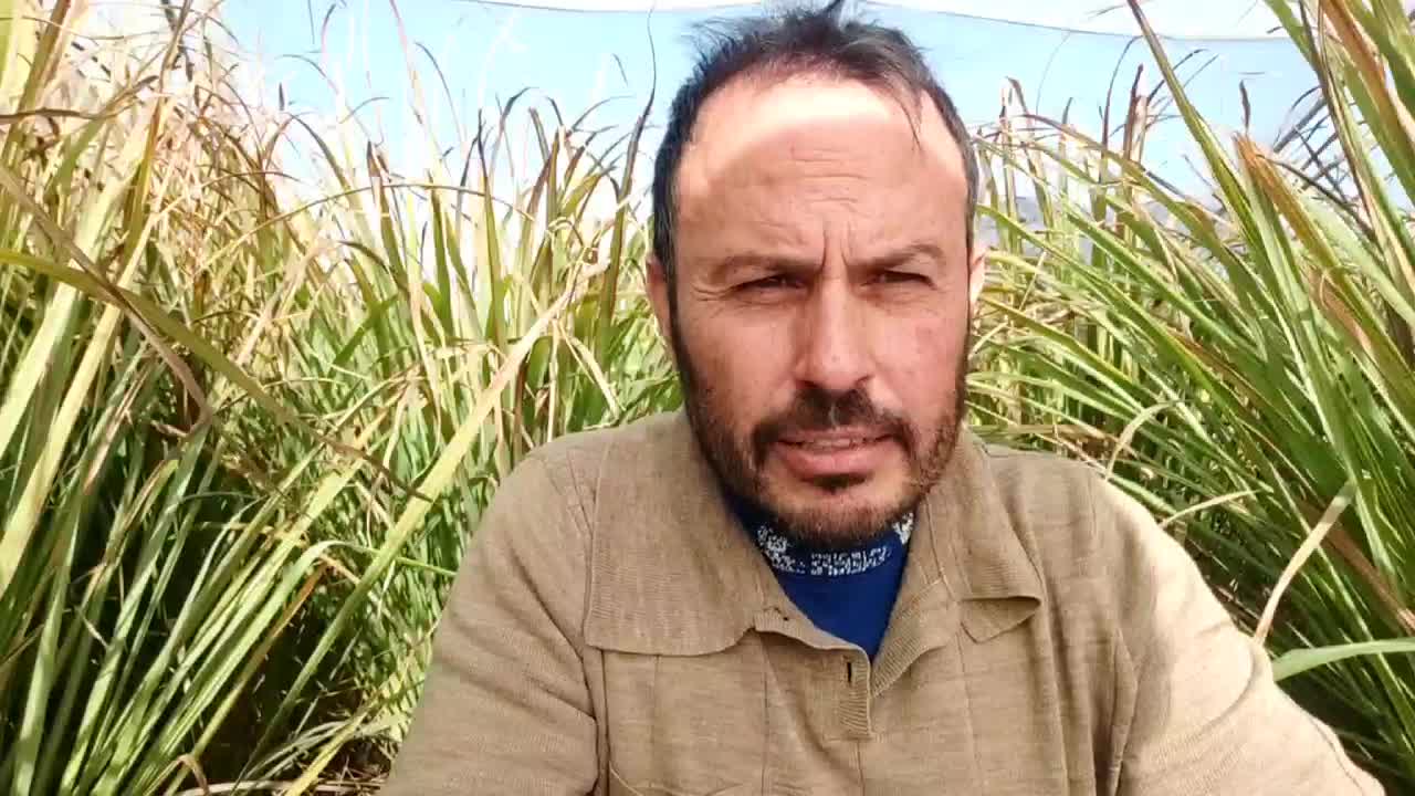 ️ COMUNICADO DE UN INDIGNADÍSIMO EL PALLETER – Euskalnews TV