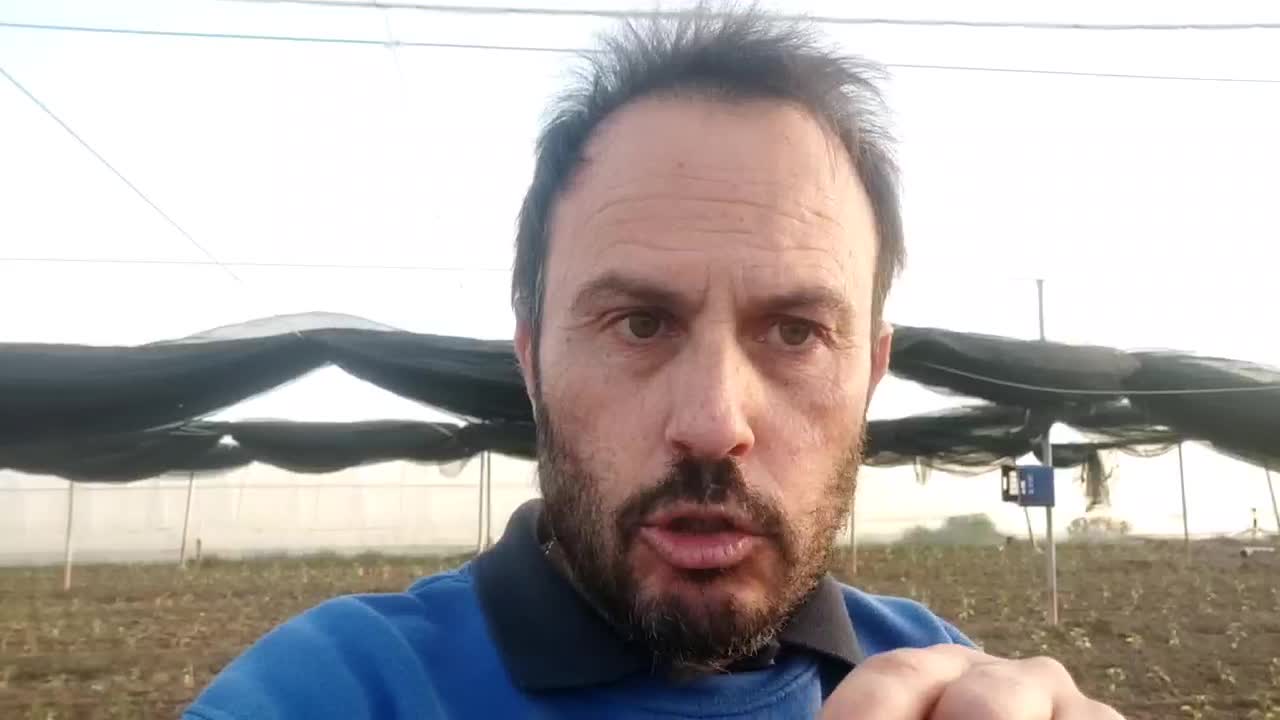 ️ El Palleter dice que tiene una solución para combatir “lo que viene ...