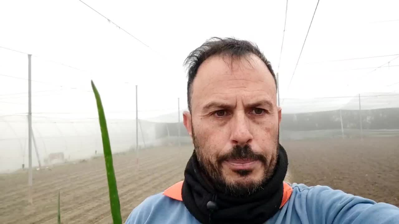 ️ EL PALLETER: “Míralas, míralas, que rabos tan bonitos” – Euskalnews TV